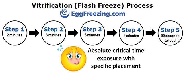 Egg Freezing Methods | Frozen Egg Bank