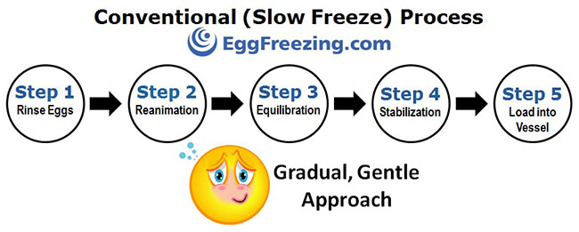 Egg Freezing Methods | Frozen Egg Bank